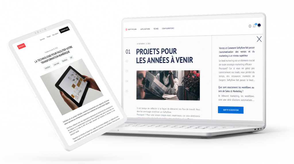 Intranet - Softyflow